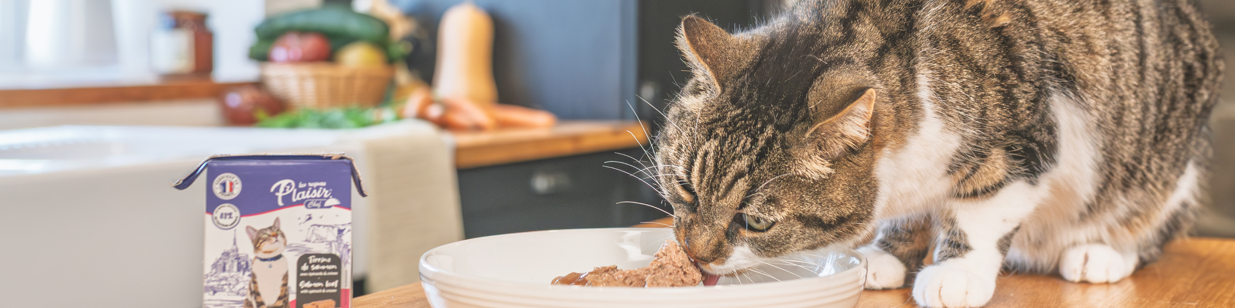 CHEF Chat – Les Repas Plaisir